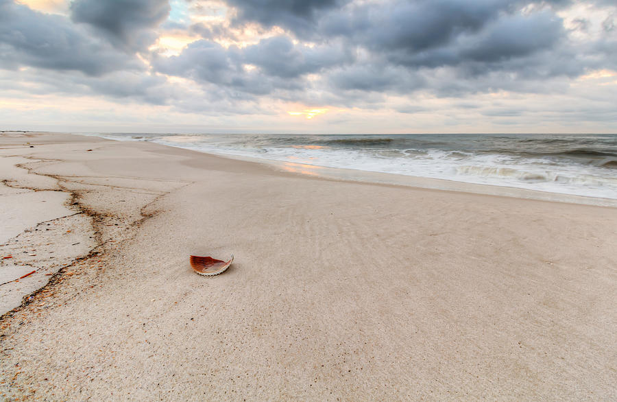 Broken Shell Photograph by Gary Oliver - Fine Art America
