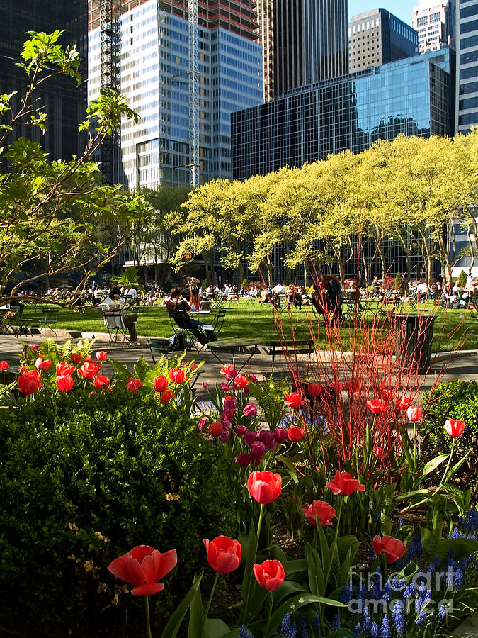 Bryant Park Spring Photograph by Andrew Kazmierski - Fine Art America