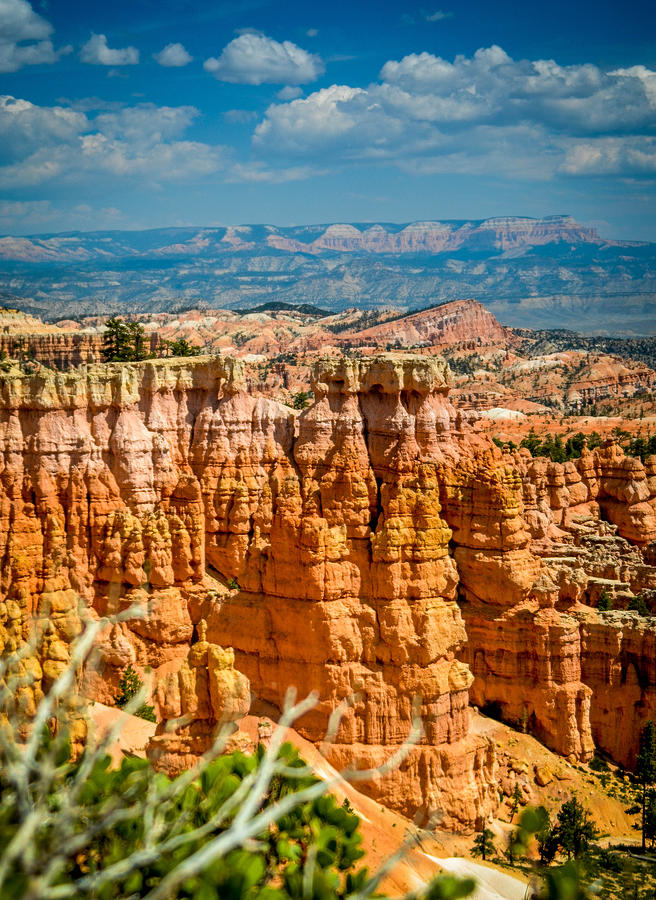 Bryce -Tall Photograph by Joy McAdams - Fine Art America Bryce -Tall Photograph by Joy McAdams - Fine Art America
