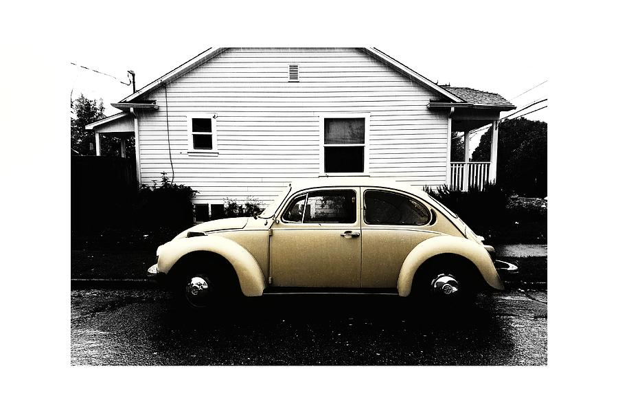 Bug Photograph by Chad Lyons | Fine Art America