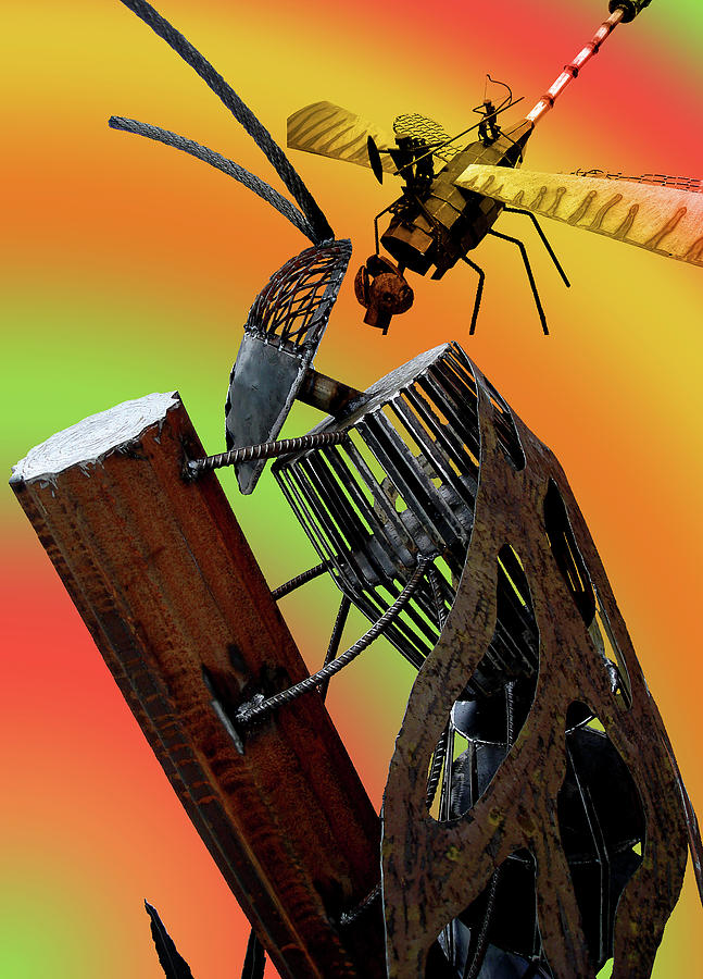 Bugs 2 Photograph by Robert Trauth - Fine Art America