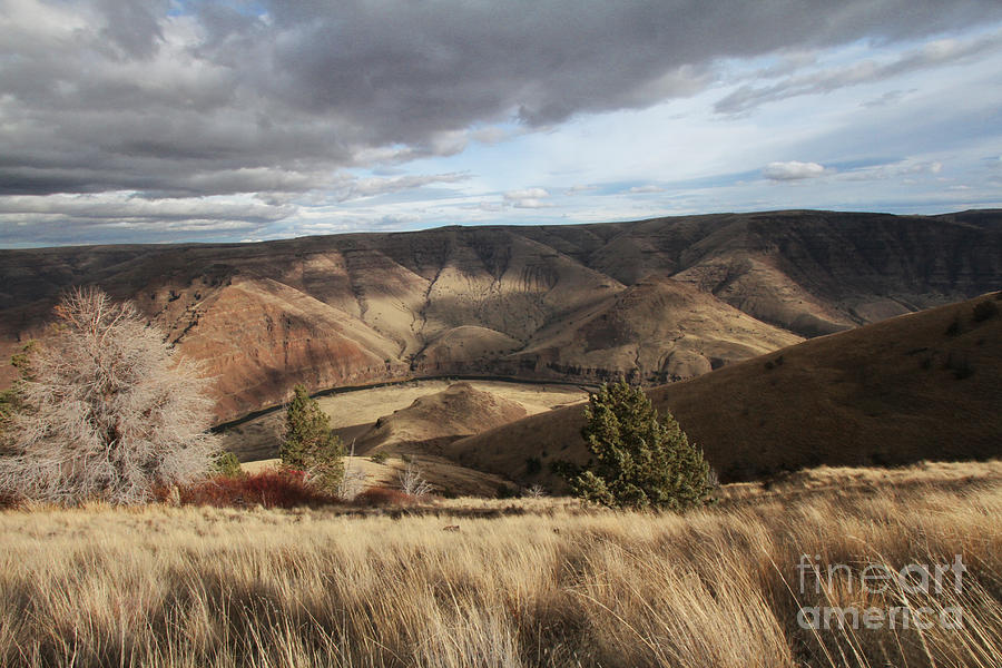 Bull Basin Photograph by Gary Wing - Fine Art America