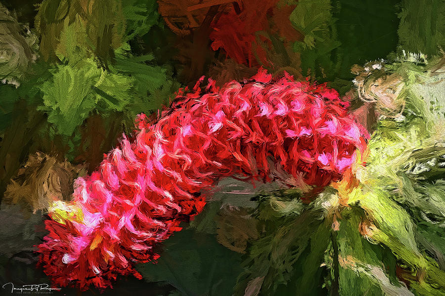 Bursting With Life Mixed Media by Todd Yoder - Fine Art America