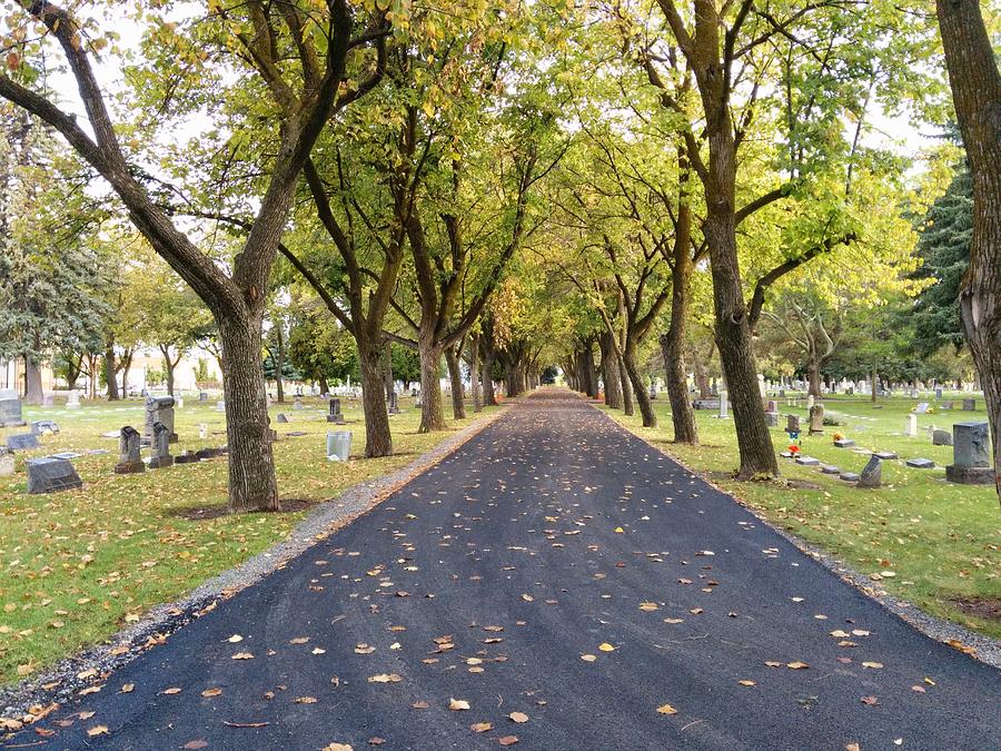 Cemetery Path Photograph by Esther Davis - Fine Art America