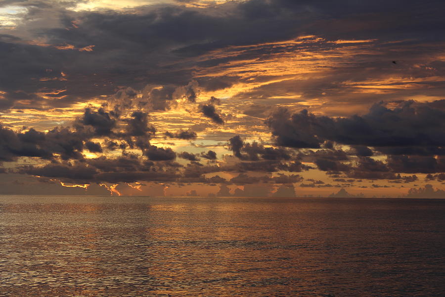 Changes Digital Art by Eric Amsellem - Fine Art America