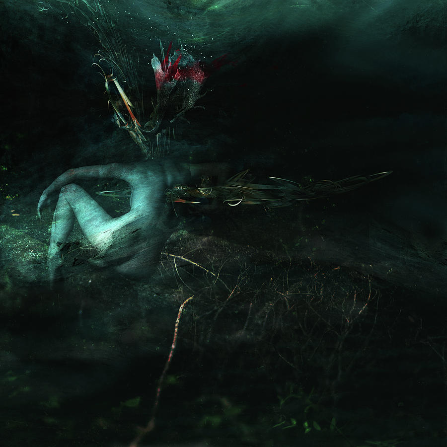 Changing shadow Digital Art by Cadence Bennett - Fine Art America