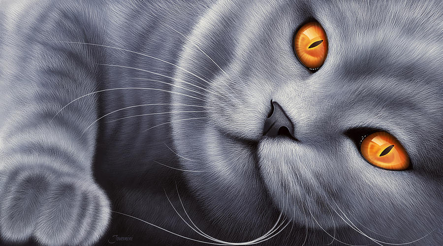 Chartreux Cat Drawing Painting by Jovemini J - Fine Art America
