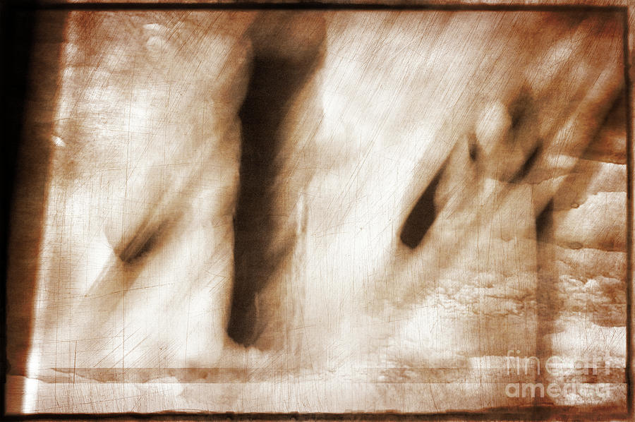 Chinese Calligraphy In Sepia Photograph By Michael Ziegler Fine Art