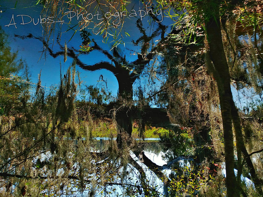 Circle B Bar Reserve Photograph by Allen Williamson - Fine Art America