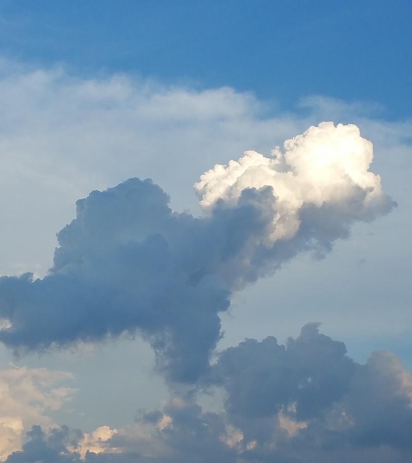 Cloud Eagle Photograph by Daniel Beyer - Fine Art America