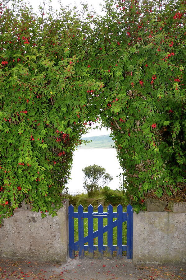 Coastal Gate Photograph by Lisa Beisel-Linn - Fine Art America