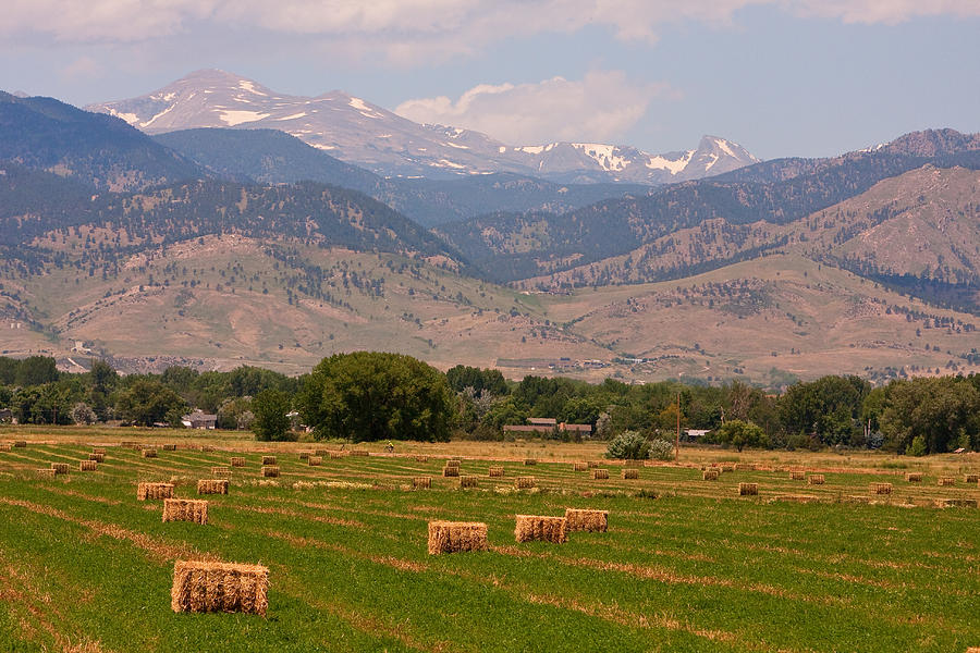 Colorado Hay Photograph By James Bo Insogna Pixels