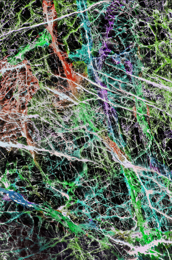 Colored Scribble Digital Art by Evolved Thought - Fine Art America