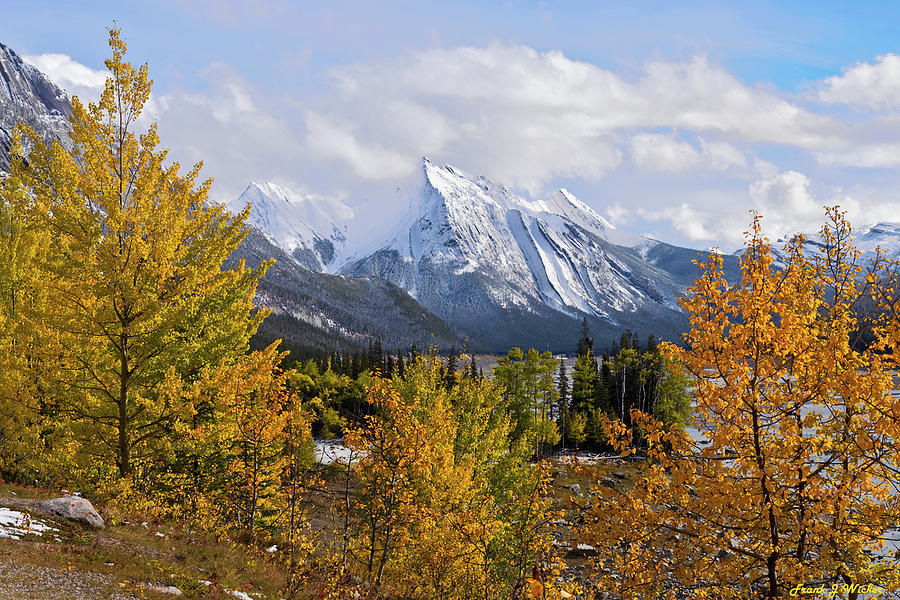 Colors of Autumn Photograph by Frank Wicker - Fine Art America