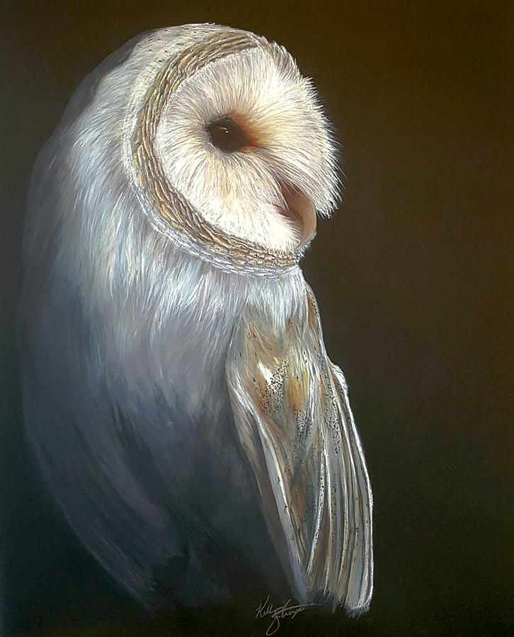 Contentment Drawing by Kelly Strope - Fine Art America