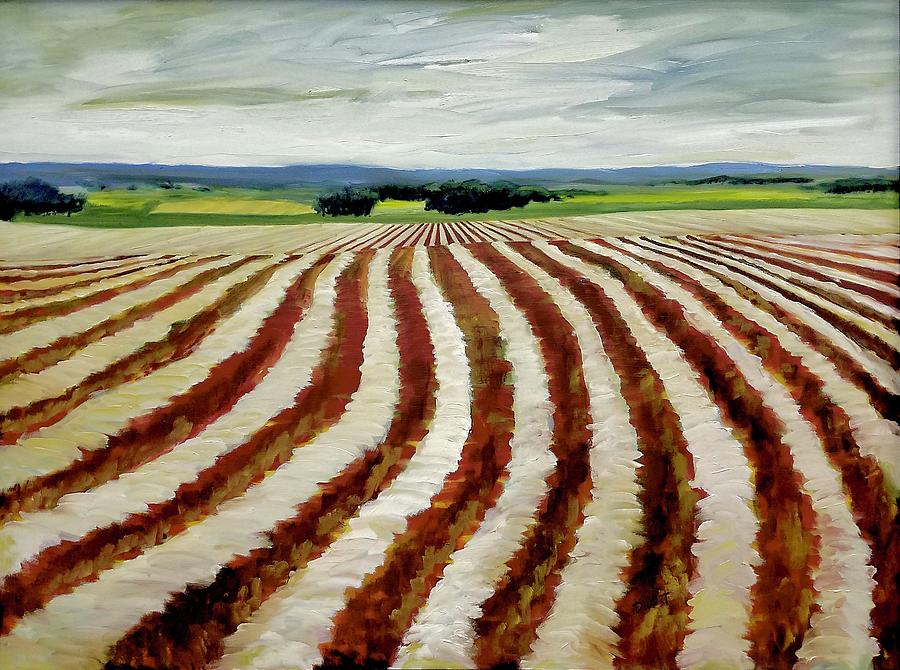Corn Rows Painting by Duncan and Rose - Fine Art America
