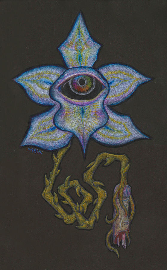 Corpse Weed Drawing by Maynard Mann - Fine Art America