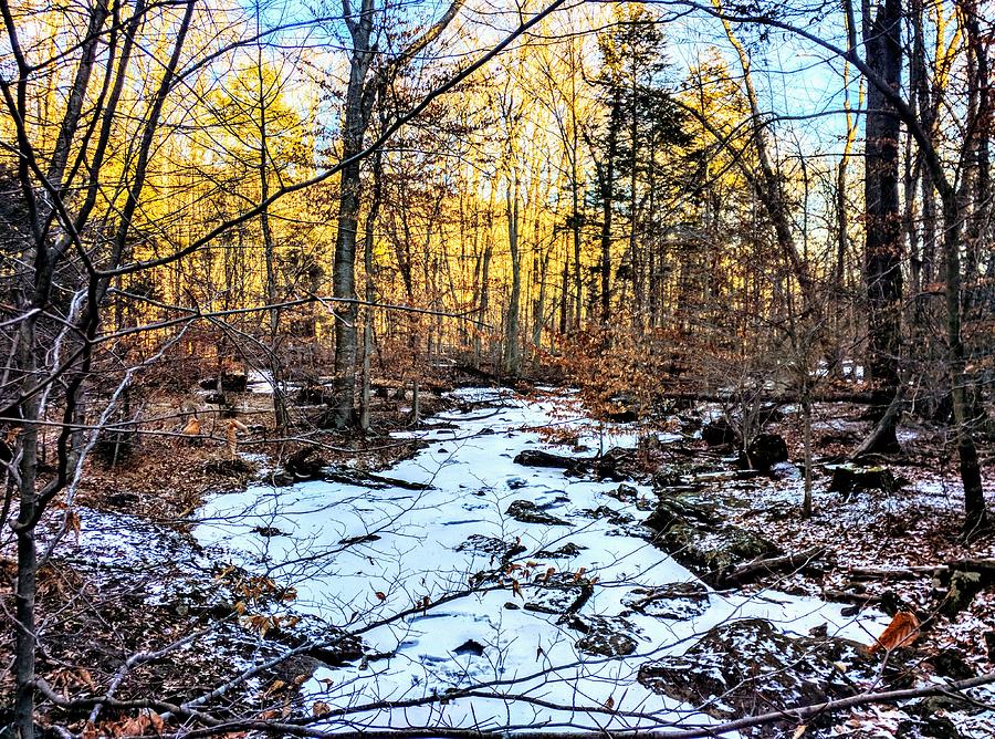 Cunningham Falls State Park Photograph by Paul Kercher - Fine Art America