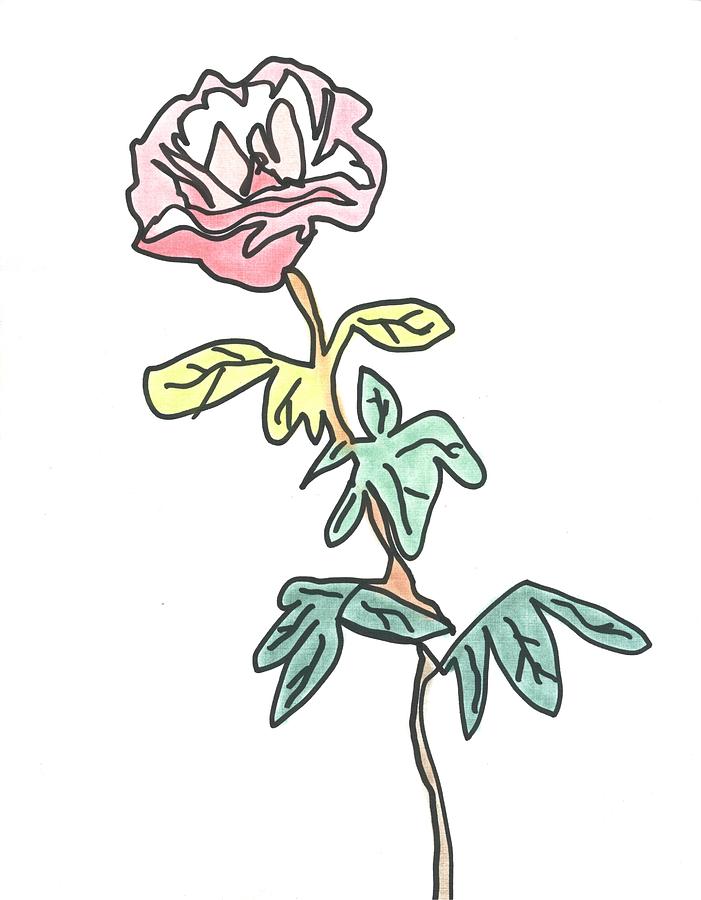 Curious Rose Drawing by David Jacobi - Fine Art America
