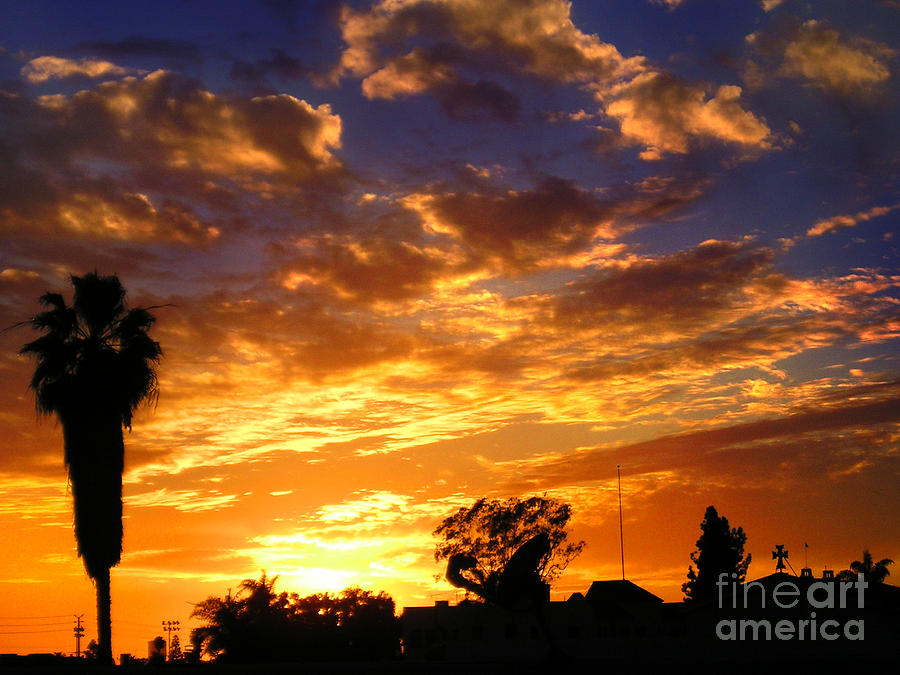 Dark-gold sunset Photograph by Sofia Goldberg - Fine Art America