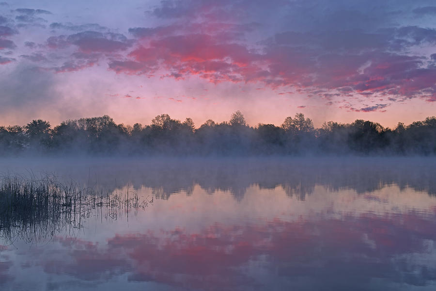 Dawn Whitford Lake with Fog Photograph by Dean Pennala - Fine Art America