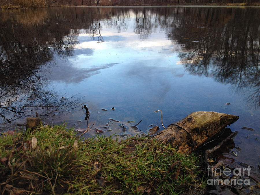 December Reflection Photograph by Clay Cofer - Fine Art America