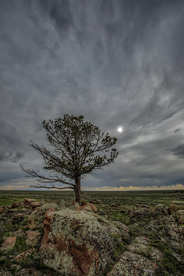 Desolate Photograph by Mark Cooper - Fine Art America