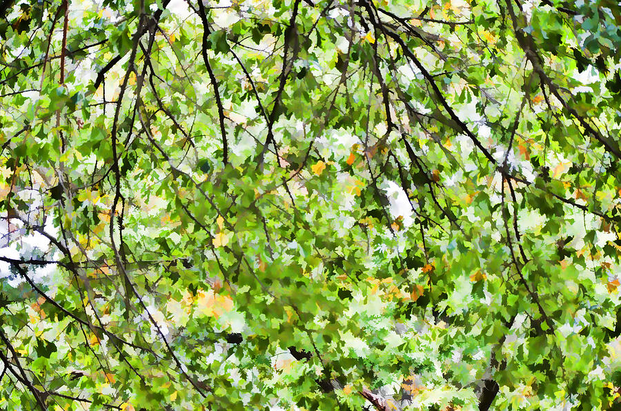 Detailed tree branches 4 Painting by Jeelan Clark - Fine Art America