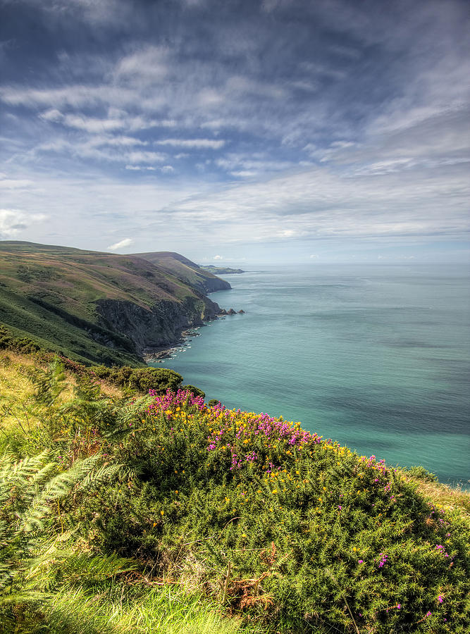 Devon Cliffs Photograph by Dave Rowlatt - Pixels