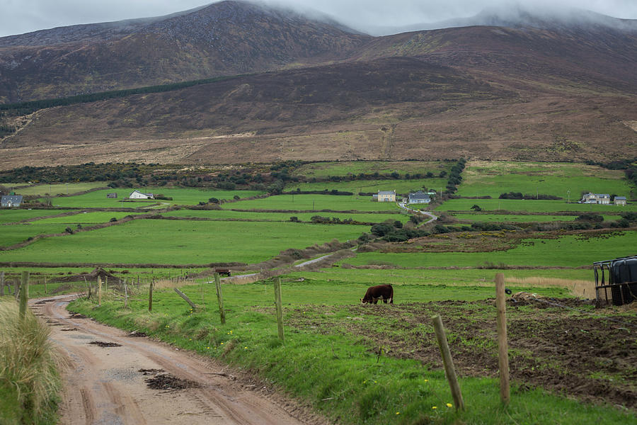 Dirt Road through the farms Photograph by Sean Comiskey - Fine Art America