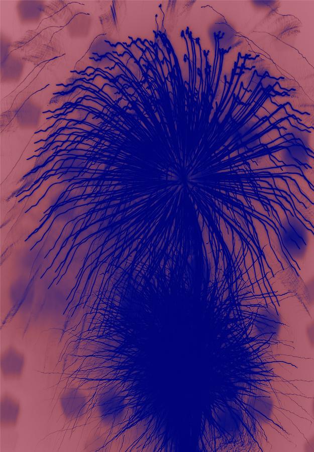 Distorted Reality Digital Art by M Pace - Fine Art America