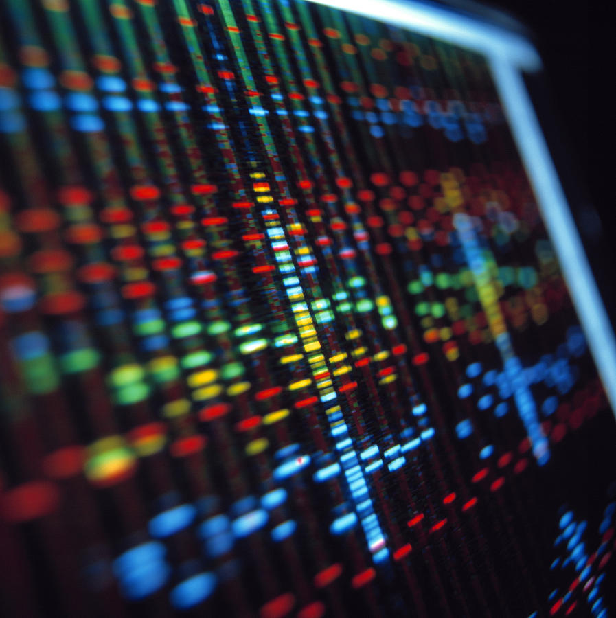 Dna Sequence On A Computer Monitor Screen Photograph by Tek Image - Pixels