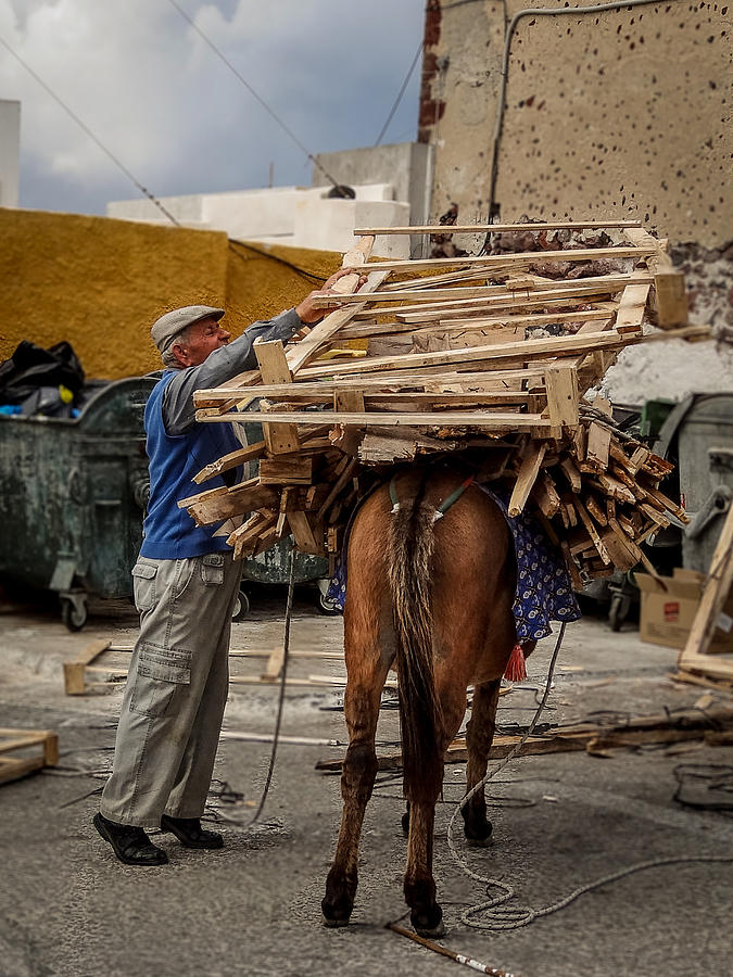 Donkey at Work Photograph by Emeybee - Fine Art America