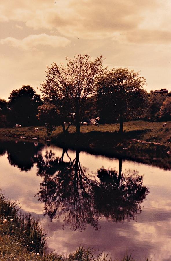 Double Take Photograph by Desline Vitto - Fine Art America