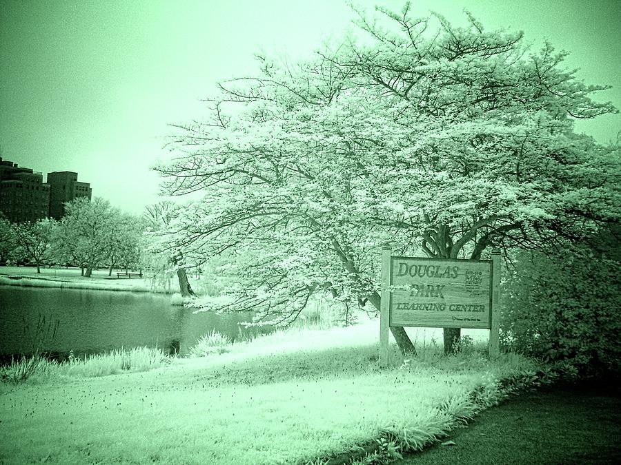 Douglas Park Infrared 1 Photograph by Fred Hahn - Fine Art America