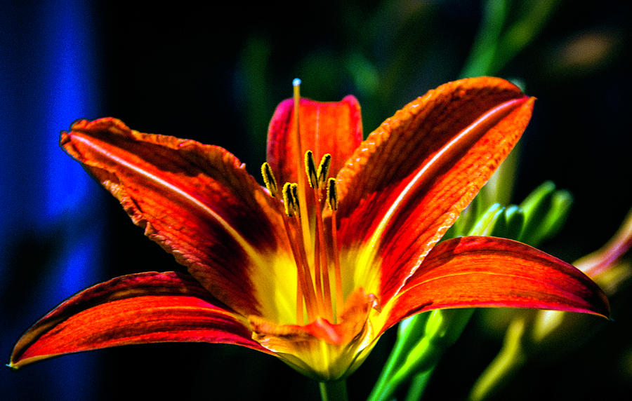 Dramatic Effect Photograph by Paul Shefferly | Fine Art America