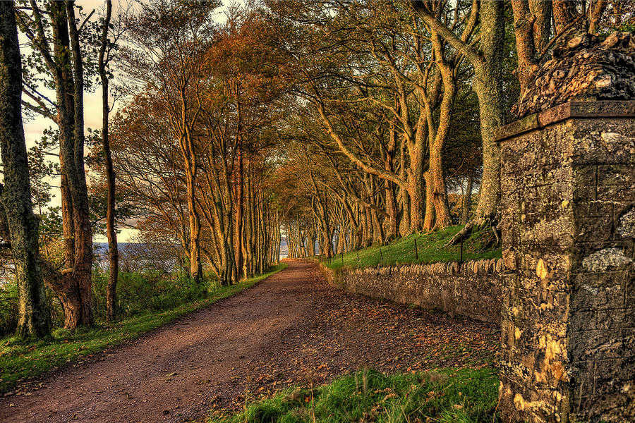 Driveway at Ballimore Estate Photograph by Jim Dohms - Fine Art America