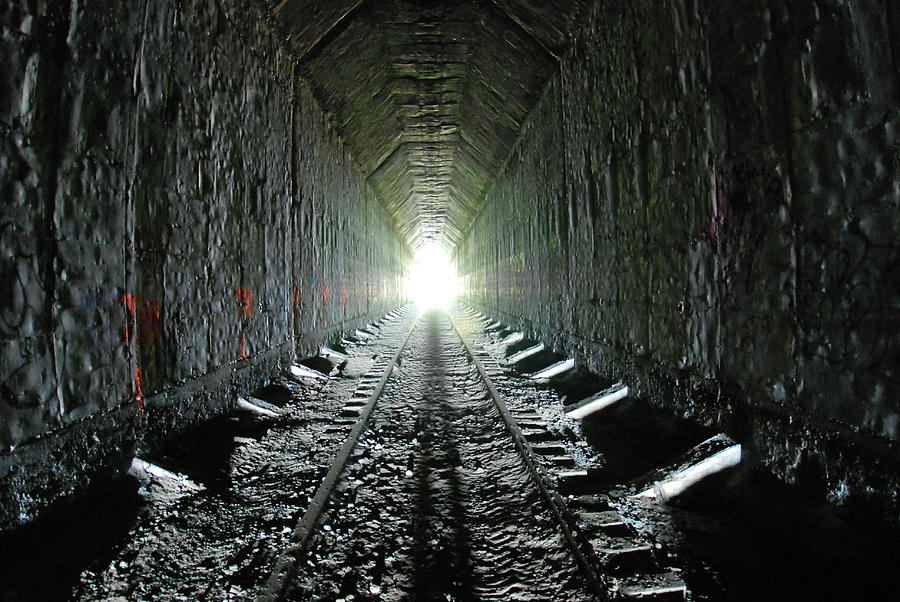 Dsc-7655 Photograph by Devon Murphy - Fine Art America