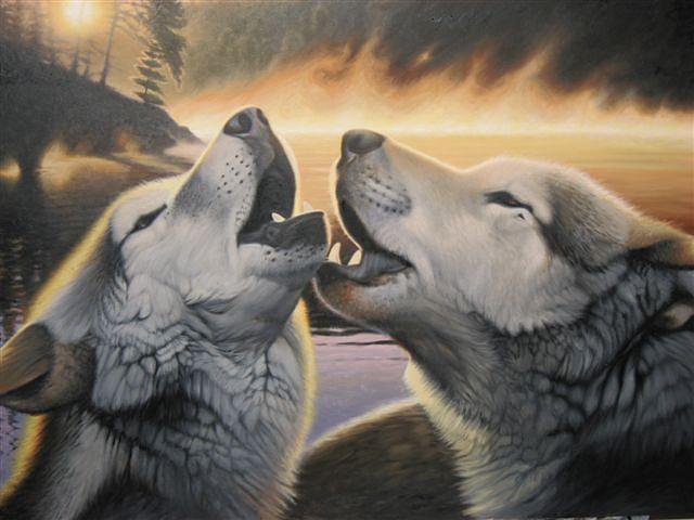 Duet Wolves Painting by Daniel Pierce - Fine Art America