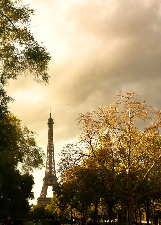 Eiffel Tower in the Fall Photograph by Julia Wright - Fine Art America