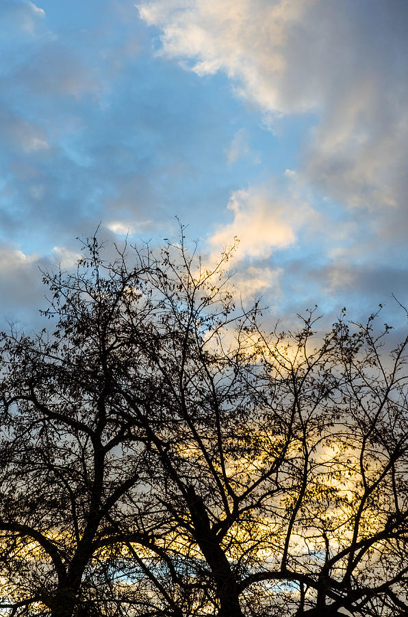 Empire of Angels Photograph by AM FineArtPrints - Fine Art America