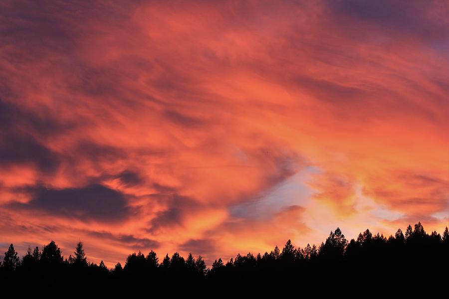 Evening of sun fire Photograph by Roxanne Basford - Fine Art America