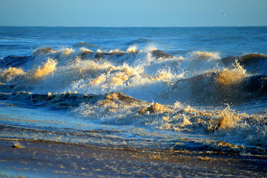 Excitement in the Air Photograph by Dianne Cowen Photography - Fine Art ...