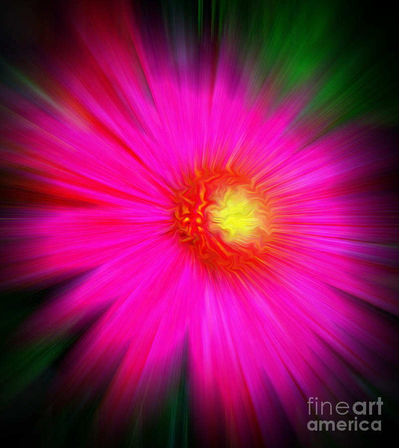 Exploding Flower Digital Art by Adri Turner - Pixels