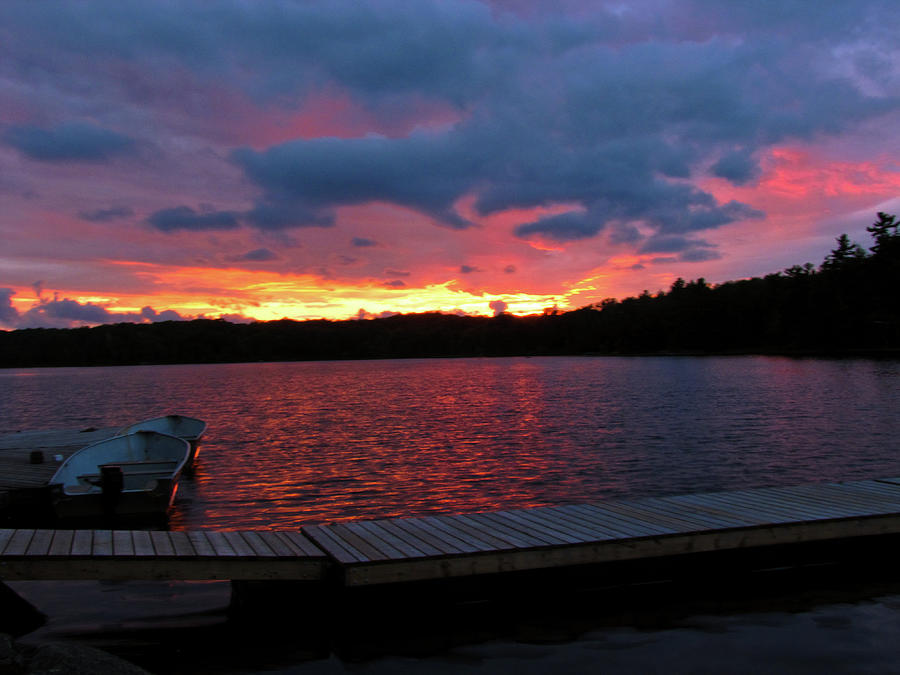 Fading Summer Photograph by Peter May - Fine Art America