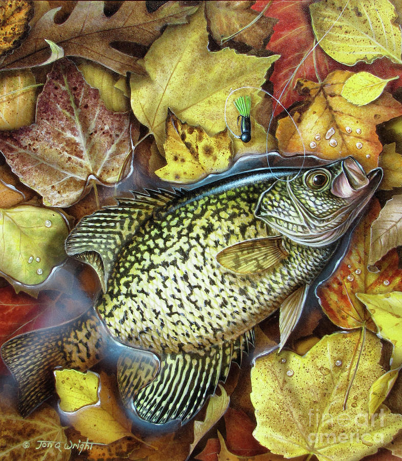 Fall Crappie Painting by Jon Wright - Fine Art America
