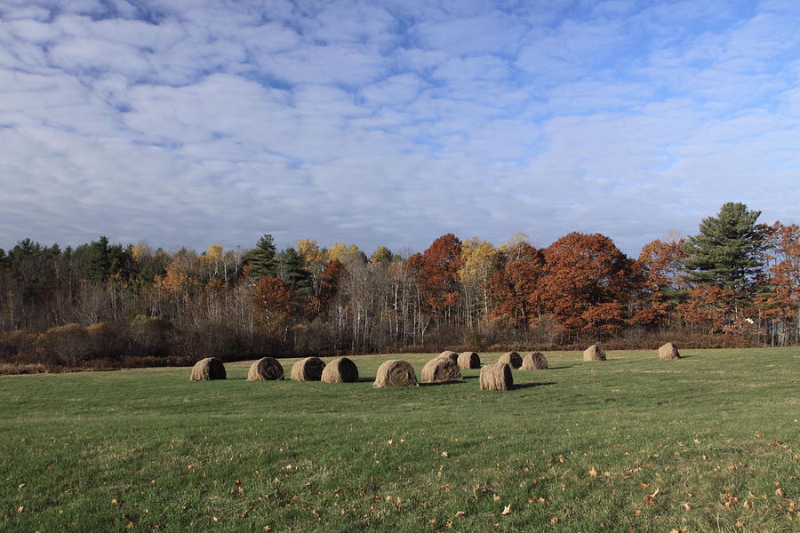 Fall Hay Photograph by Tom Johnson - Fine Art America