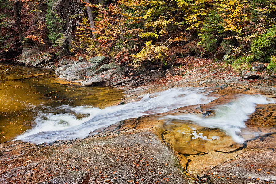 Fall Stream in Mountain Forest Photograph by Artur Bogacki - Fine Art ...