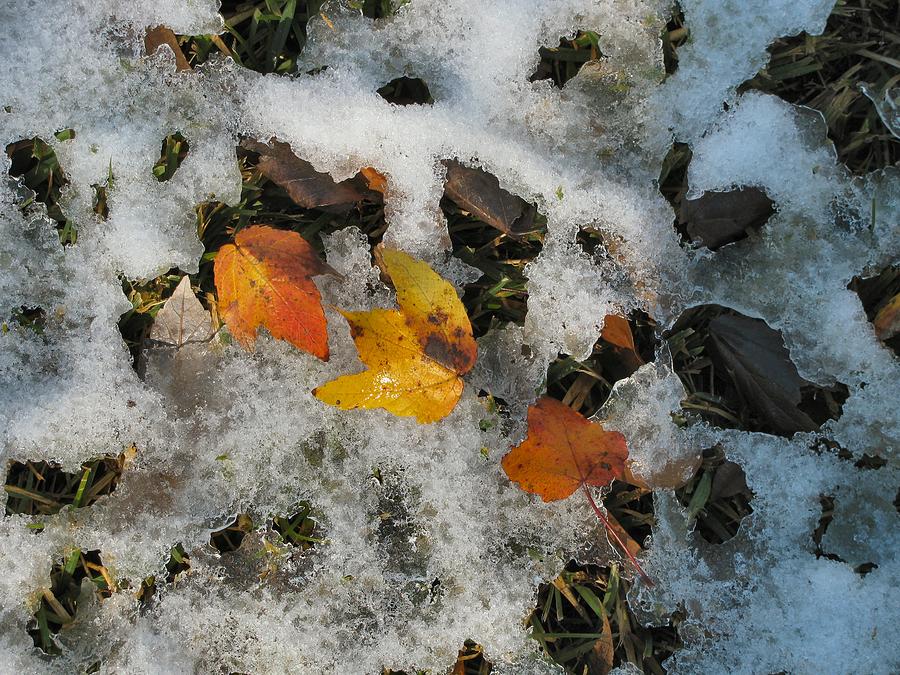 Falling Down Photograph by Camera Candy - Pixels