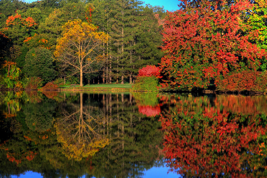 Falloneous Assault Photograph by John Absher - Fine Art America